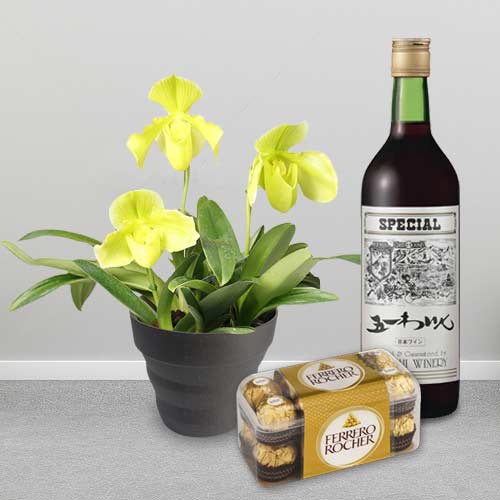 Festive Christmas Cheer Festive Flower And Cake Combo Japan