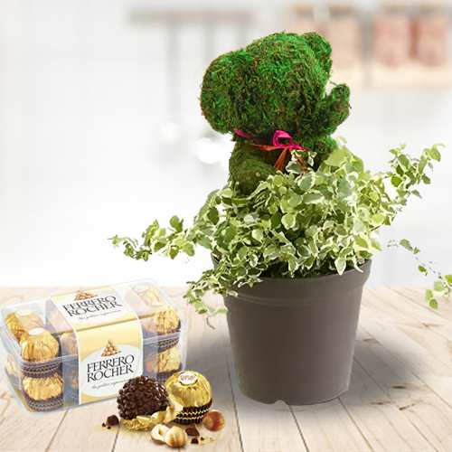 Animal Topiary And Ferrero - Indoor Plant And Chocolate Gift Set
